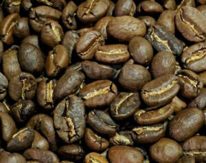 Η ποικιλία καφέ Excelsa (Coffea excelsa ή Coffea liberica var. dewevrei ...